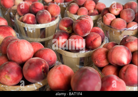 Bushel baskets of fresh peaches at a farm market Stock Photo - Alamy