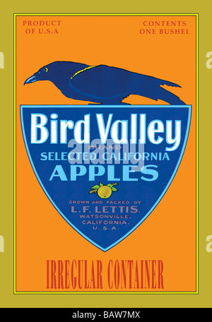 Apples and Orchard Stock Photo - Alamy