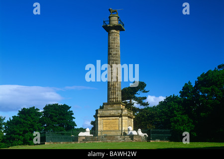 The Lion statues of the Tenantry Column at Alnwick, Northumberland ...