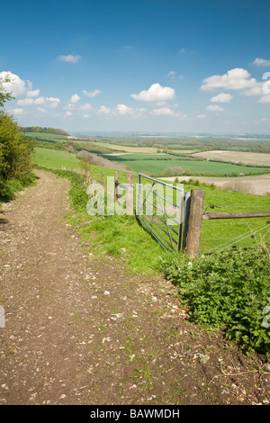 View from the Wayfarers Way path over West Berkshire from between the ...