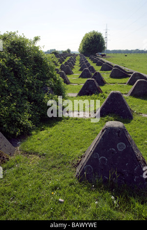 tank traps of the Siegfried line near Schmithof in the south of Aachen ...