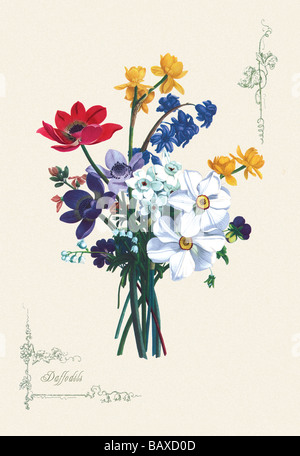 Daffodils And Roses Stock Photo - Alamy