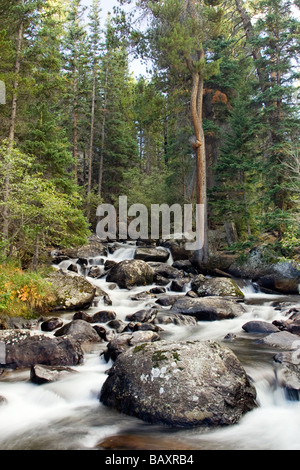 Waterfall / Cascading creek - Rocky Mountain National Park - Estes Park ...
