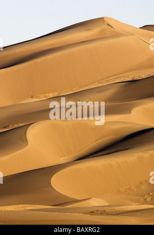 The lines of sand dunes in morning light at Sossusvlei, Namibia Stock ...