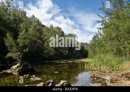 Deua River Deua National Park New South Wales Australia Stock Photo - Alamy