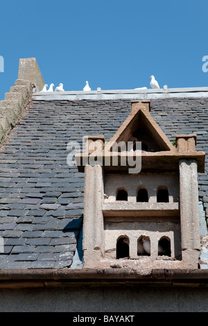 A dovecote shelter for birds and doves pigeons with multiple entrances ...