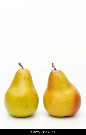 ripe forelle pears, isolated on white background Stock Photo - Alamy
