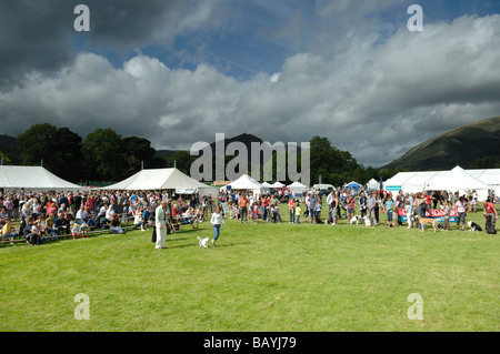 The dog show at Grasmere Sports a traditional annual event in the ...
