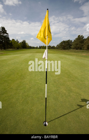 A yellow flag is put into a hole of the golf course of Milton Abbey in ...