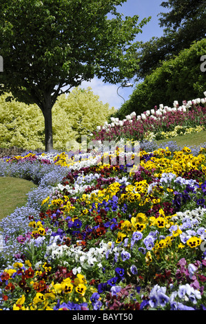 Guildford Castle and gardens in spring, Castle Grounds, Guildford ...