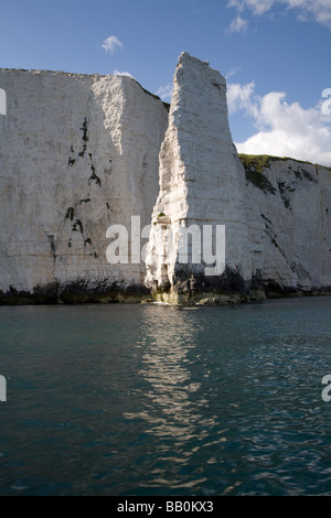 The Pinnacle stack, Handfast Point, Dorset, England Stock Photo - Alamy