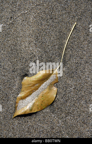 Dark brown sand wash pattern texture, detail stone, abstract background ...