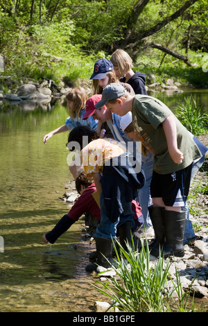 Fifth grade students schoolchildren studying ecology of a stream in ...