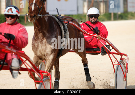 horse racing in malta Stock Photo - Alamy