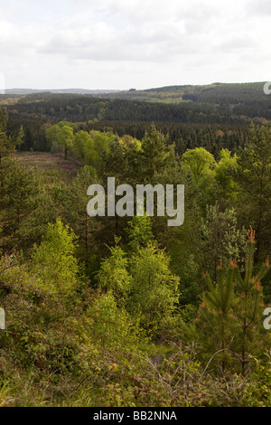 View of the New Fancy view Forestry Commission sign Stock Photo - Alamy