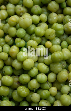 Amla - Indian Gooseberry Fruit used in cooking and Ayurvedic ...