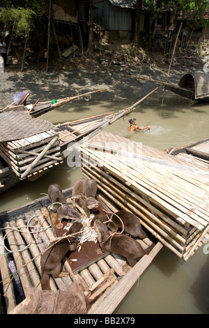 Daily Life in Bangladesh; trained, working otters on leashes work in ...