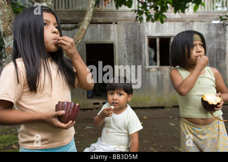 Shuar children eating fruit, Shuar community, Guadalupe, Ecuador Stock ...