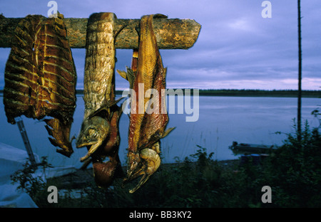 Traditional Native American Indian Salmon Fish Trap Weir on River Stock ...