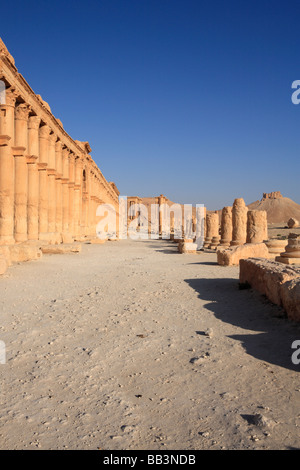 Colonnade at the ruins of Palmyra, Syria Stock Photo - Alamy