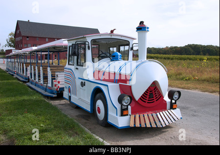 USA, New England, Massachusetts, Natick, Lookout Farm, pumpkins Stock ...