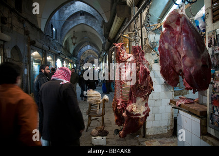 The camel butcher shop in the souk in the old city of Fez Stock Photo ...