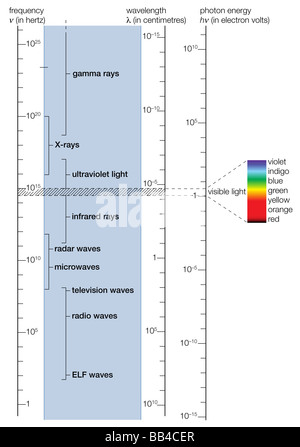 Diagram of the electromagnetic spectrum, with visible spectrum and ...