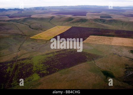 Aerial of steppe grasslands, Mongolia Stock Photo - Alamy