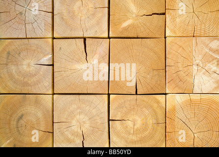 The ends of square cut wood Stock Photo - Alamy