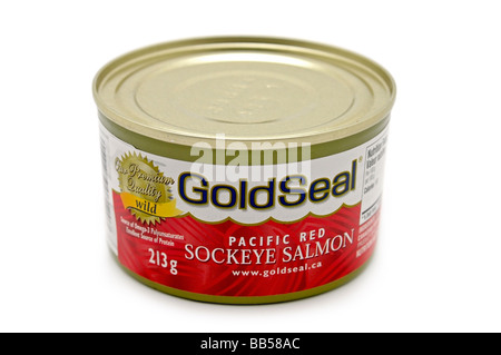 red salmon tin tinned fish food meat morrisons wild cut out white ...