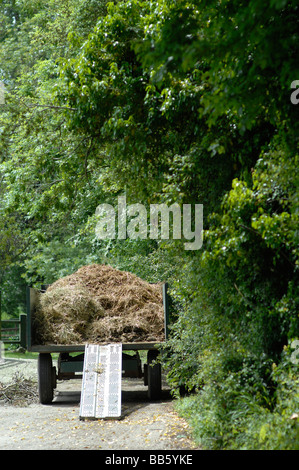 A pile of manure compost on a UK farm Stock Photo - Alamy
