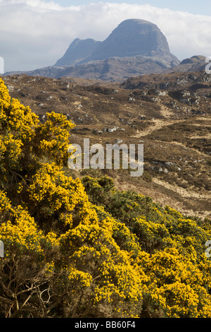 The famous mountain Suilven Lochinver Sutherland North west highalnds ...