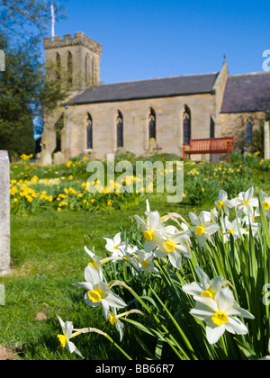 The Village, Rennington, Northumberland Stock Photo - Alamy