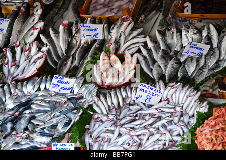 Fish market stall in Istanbul, Turkey with fresh sea bass fishes Stock ...