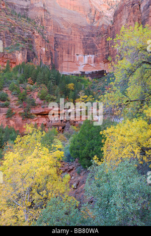 Fall Color in the Canyon at Zion National Park, Utah Stock Photo - Alamy