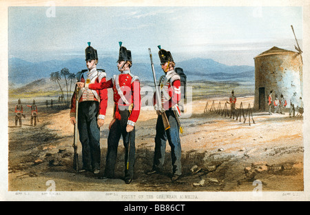 British Infantry 1810 Stock Photo - Alamy