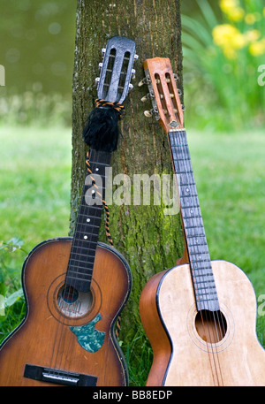 Classical guitar leaning against a tree Stock Photo - Alamy