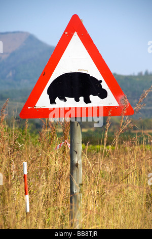 hippo warning sign on the road Stock Photo - Alamy