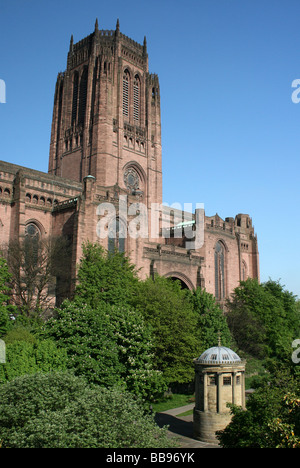 View of the Liverpool Cathedral, in Liverpool, Merseyside, England, UK ...