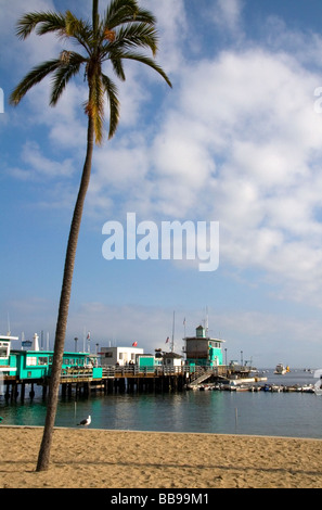 Pier on the Catalina Island Stock Photo - Alamy