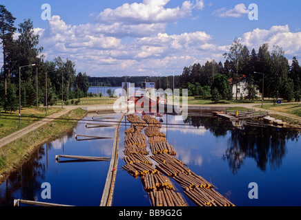 Finland, timber floating in river with trees on edge of river and ...