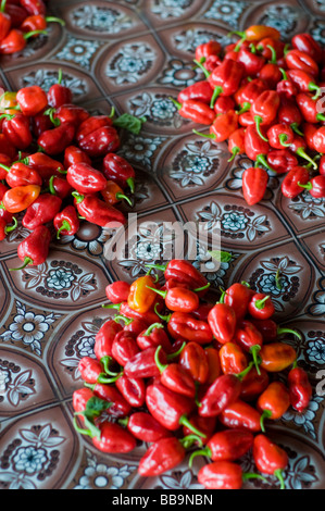 A vertical closeup of a bunch of red chilli peppers at a market Stock ...
