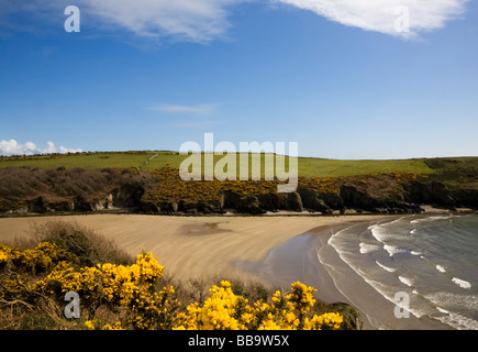 Stradbally, Copper Coast, Co Waterford, Ireland; Medieval Church Ruins ...