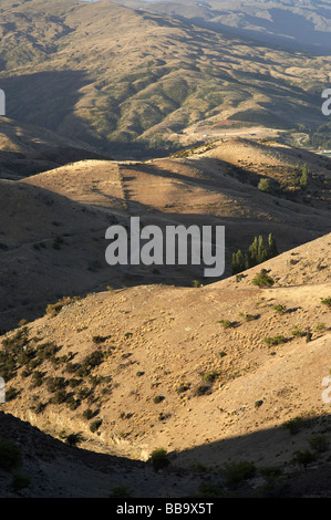 Highcountry, Pisa Range, Central Otago, South Island, New Zealand ...