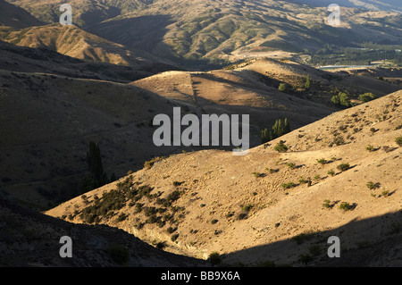 Highcountry, Pisa Range, Central Otago, South Island, New Zealand ...