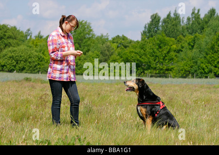 Girl teaching dog tricks Stock Photo - Alamy