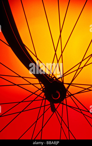 Color detail of the wheel of a bicycle, with spokes Stock Photo - Alamy