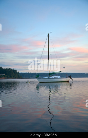 Carr Inlet Puget Sound WA Reflections of shore line at Penrose Point ...