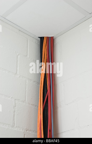 Blue power cables hanging from a junction box Stock Photo - Alamy