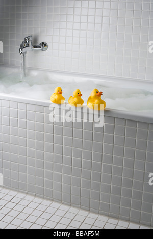 Rubber duck, side view Stock Photo - Alamy